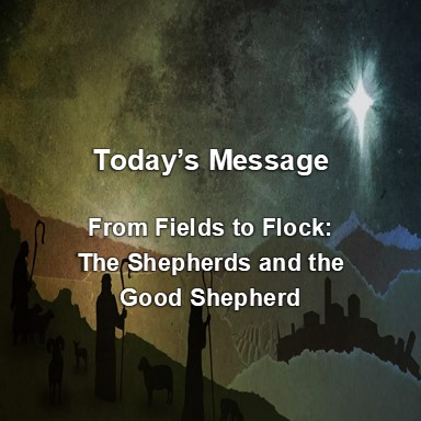 Traditional – 12-22-24am From Fields to Flock-The Shepherds and the ...